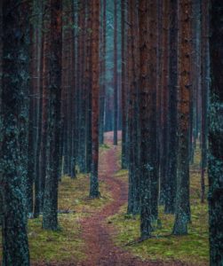 Random Photography Inspiration #5 – List Inspire