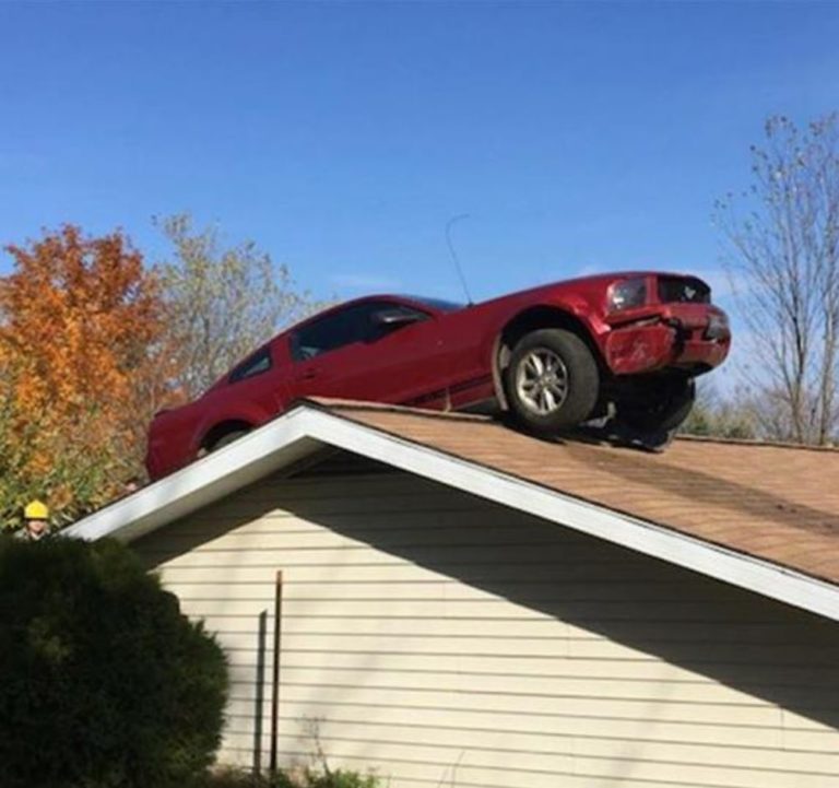 100+ Of The Funniest Pictures Ever Seen On The Internet – List Inspire