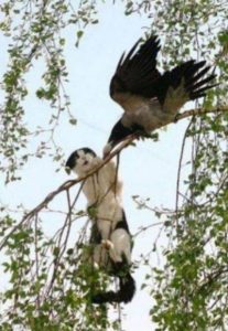 100+ Of The Funniest Pictures Ever Seen On The Internet – List Inspire